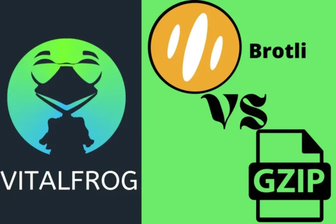 Brotli VS GZIP || Which Of These Will Make Your Website Faster?